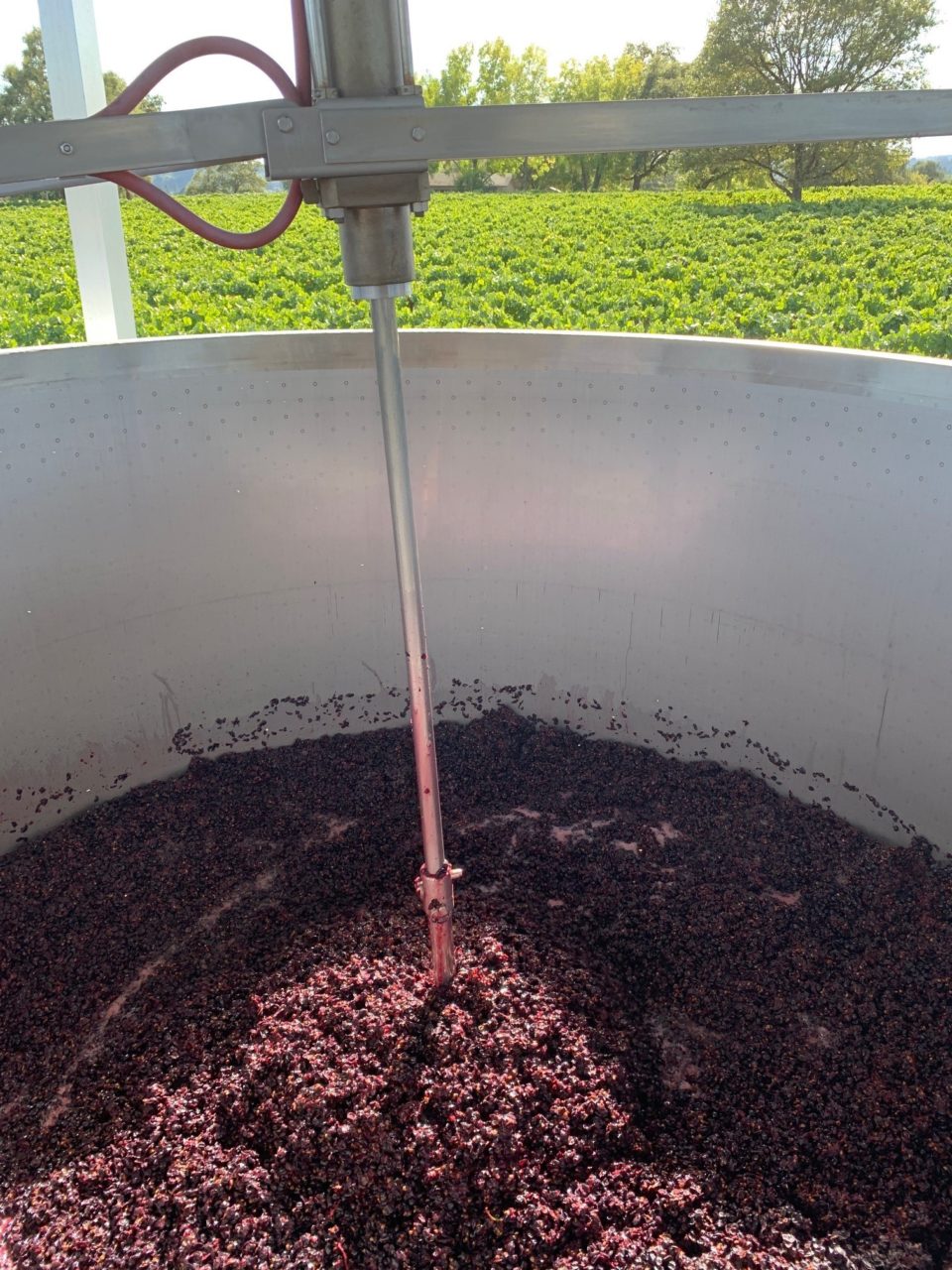 JOE’S WINEMAKING NOTES OCTOBER 2019 – River Road Family Vineyards and ...